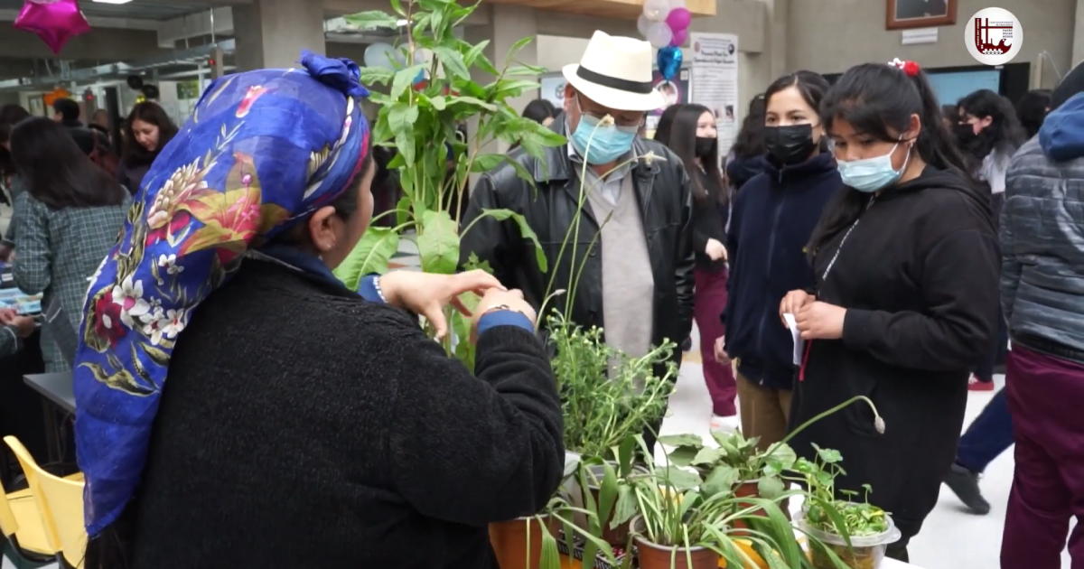 Videos « Fundación Irarrázaval